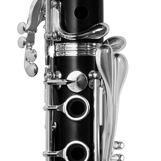 P. Mauriat Professional Bb Clarinet Grenadilla Wood PCL721N | DuBaldo ...