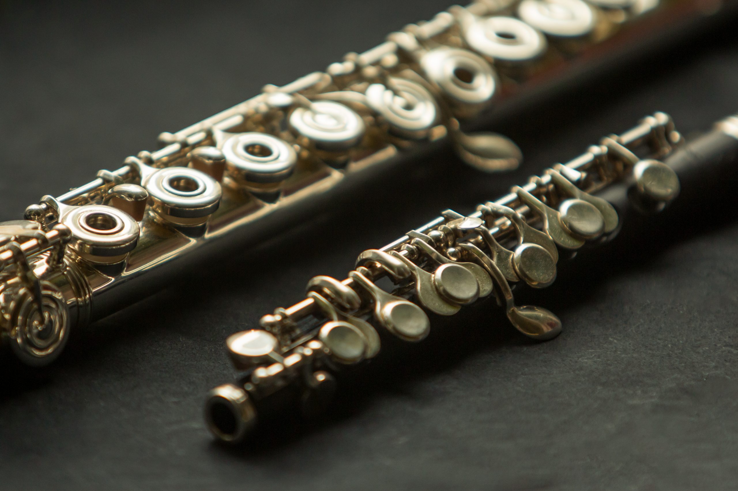 Instrument Care Guide: Flute | DuBaldo Music Center