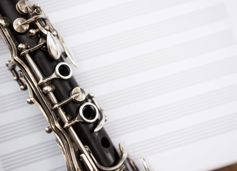 Instrument Care Guide: Clarinet | DuBaldo Music Center